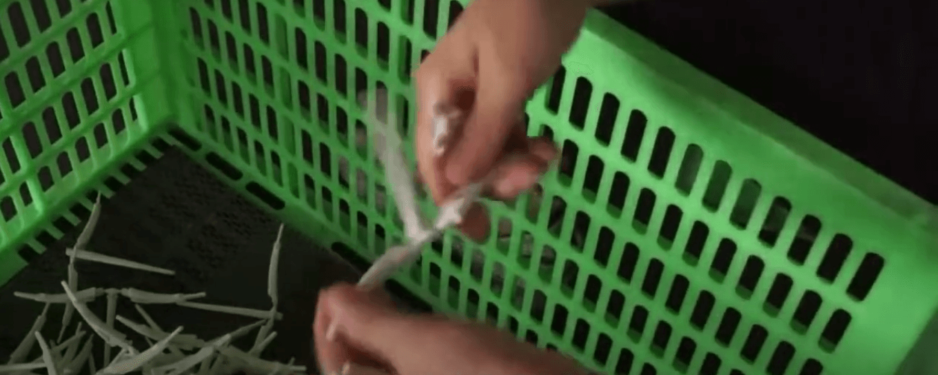 How Plastic Eyewear Frames Are Made: From Raw Materials to Finished ...