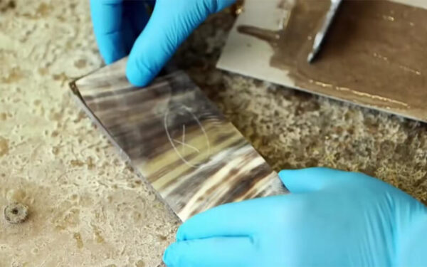 A Comprehensive Guide to Buffalo Horn Frames: How to Make Buffalo Horn ...
